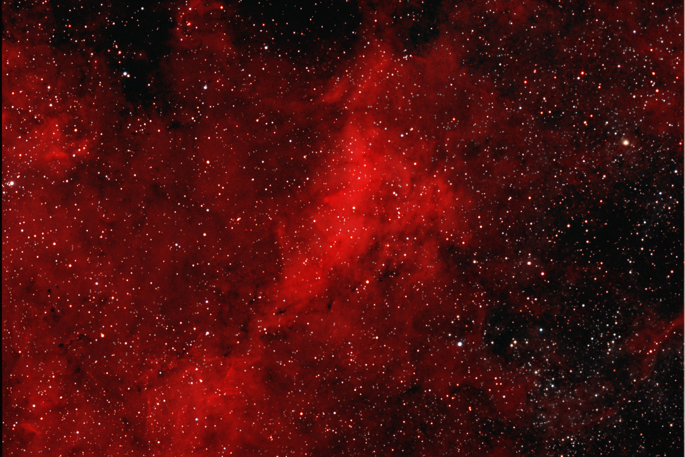 Gamma Cygnus Region - Astrophography