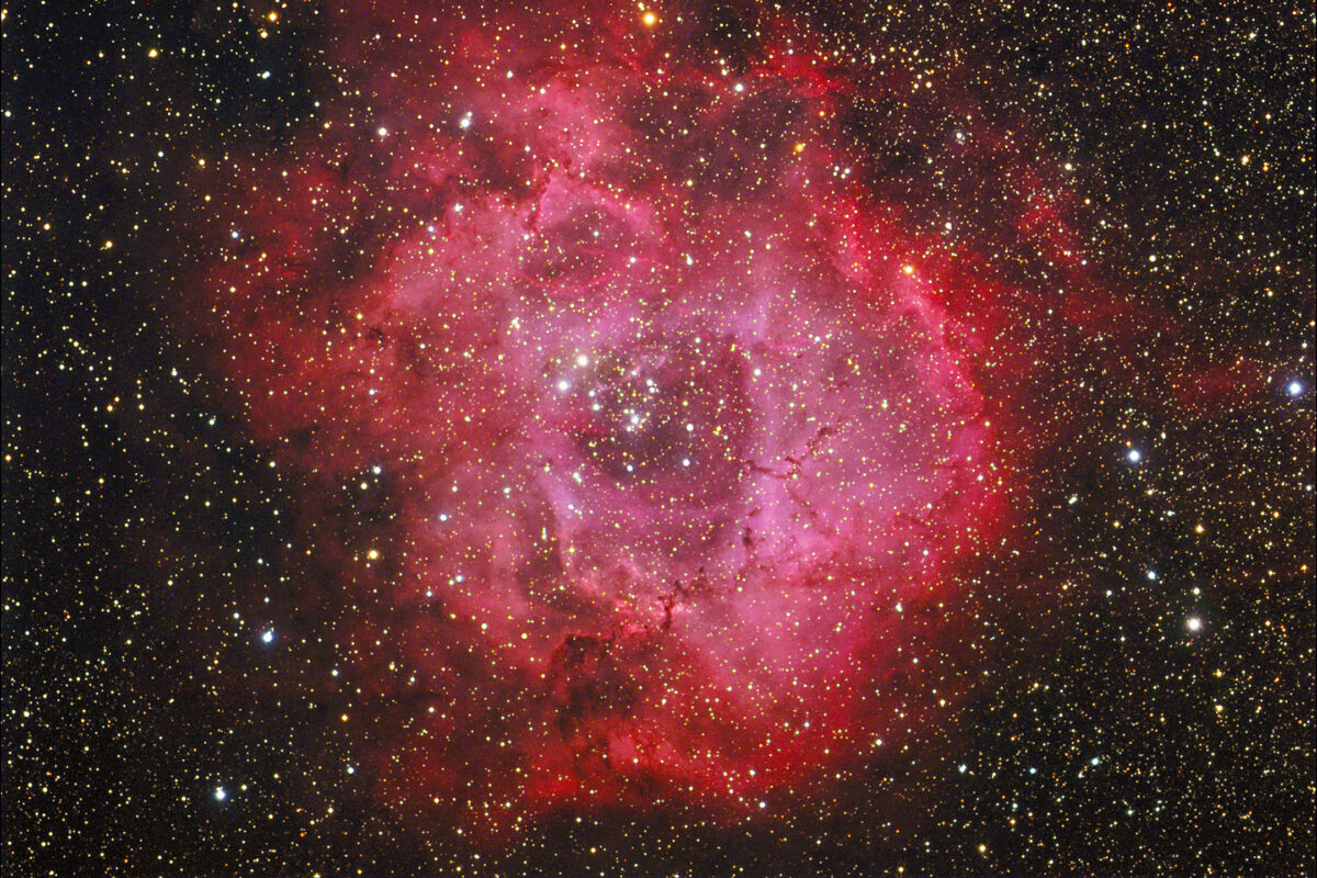 Rosette Nebula NGC 2244 - Astrophography